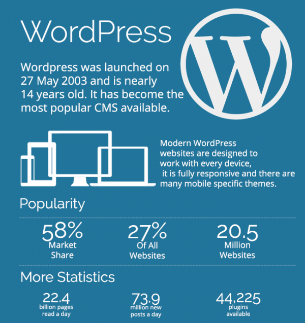 6 Reasons Why Choose WordPress as Your CMS?