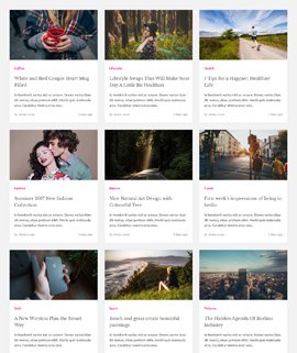Famous Blog Template | Blog Designer Pro WordPress Plugin