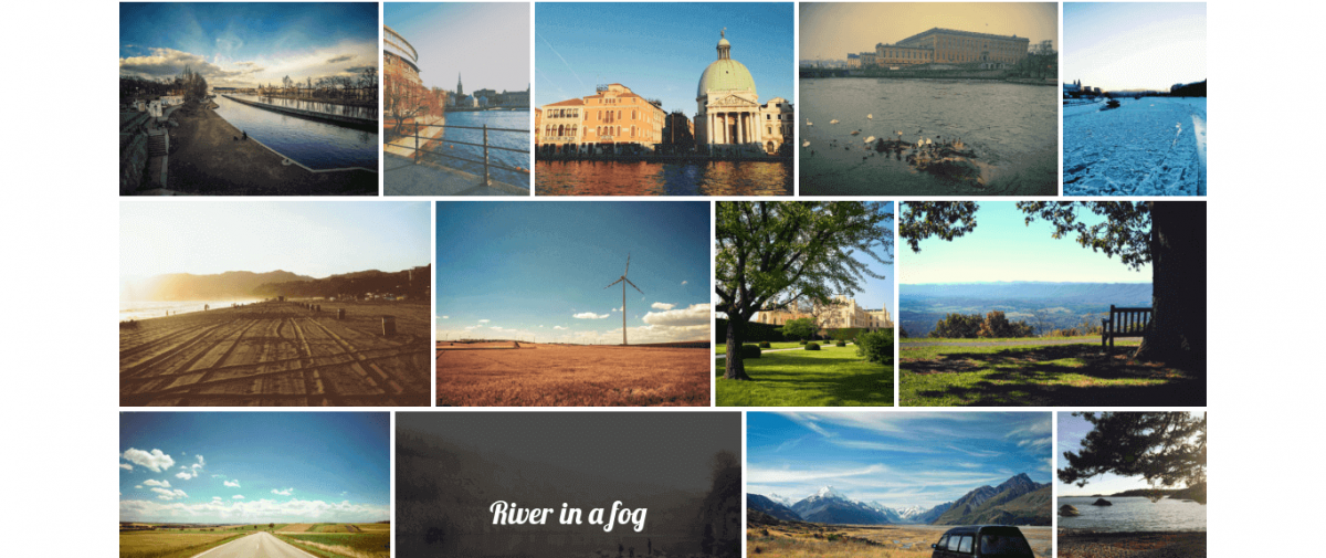 10 Best WordPress Grid Plugins In 2021 [Latest Collection]
